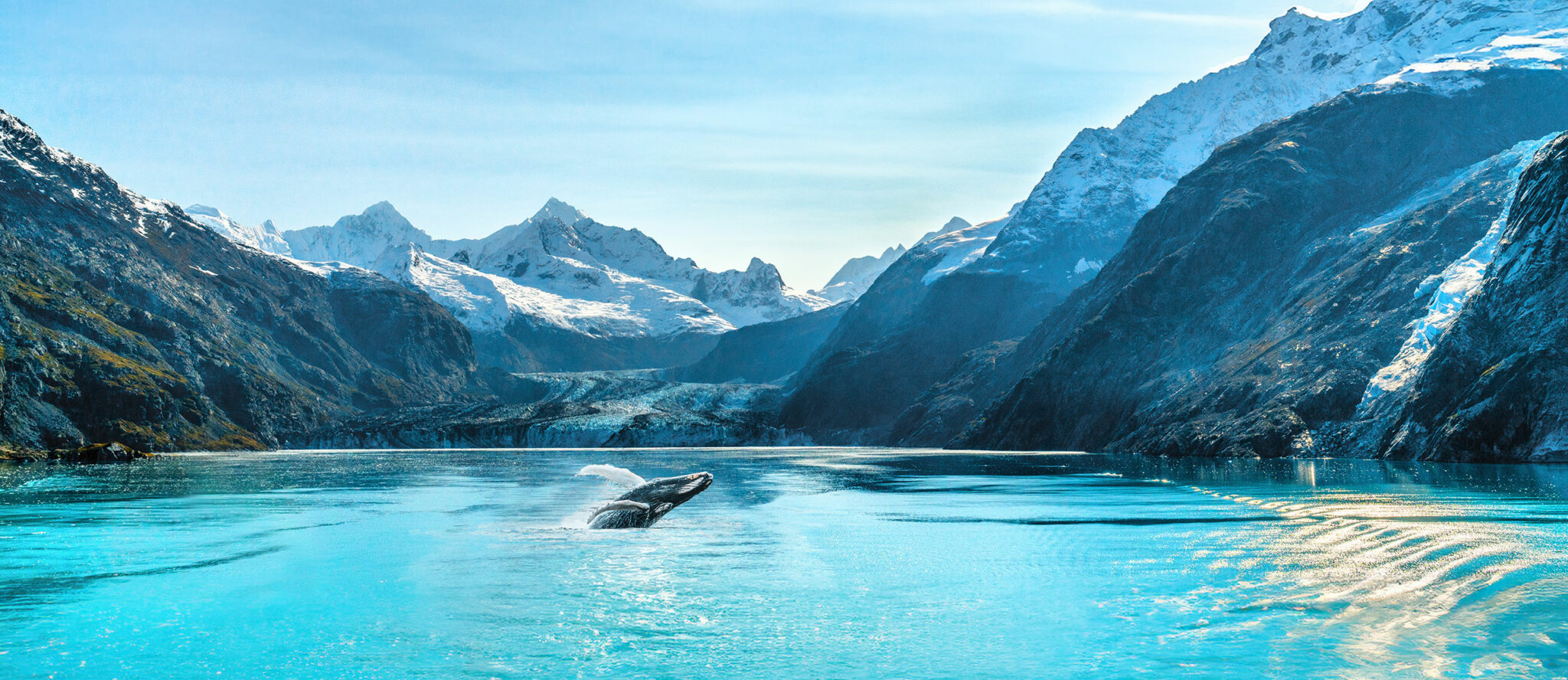 Ultimate Alaska Cruise Excursions - Escape with EFFY